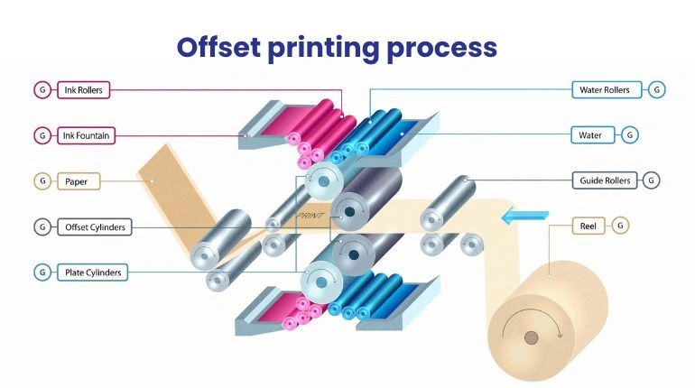 Offset Printing: Definition, Types, Process & Applications